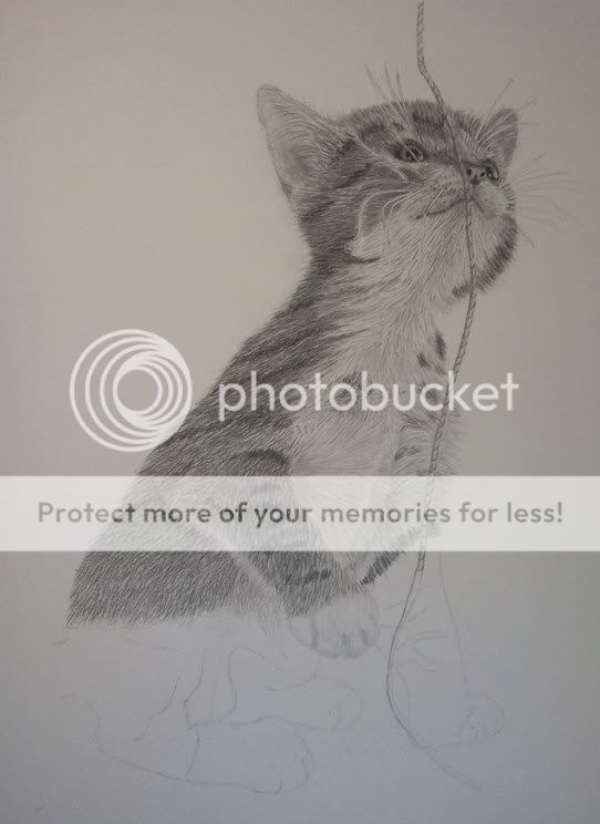 Kitten - Pagina 2 - SchilderenEnzo